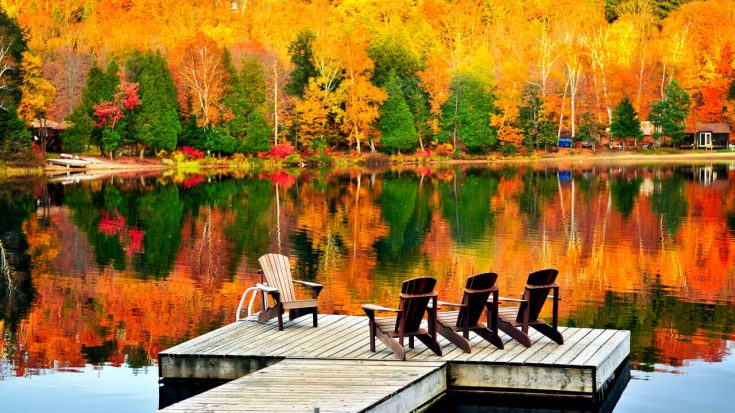 Where to Find the Best Fall Colours in Ontario - Taylor's Tracks